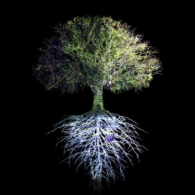 Buy More than Human – BSL Tour Tickets online - The Design Museum