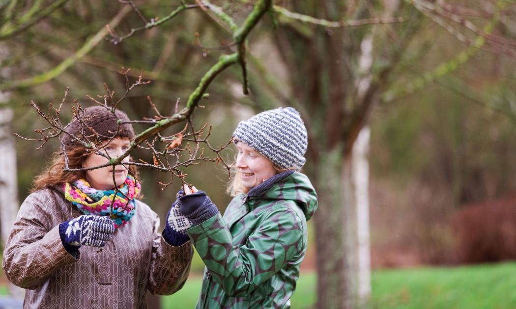 Buy Walk & Talk: Buds, Bark & Berries Tickets online - The Parks Trust