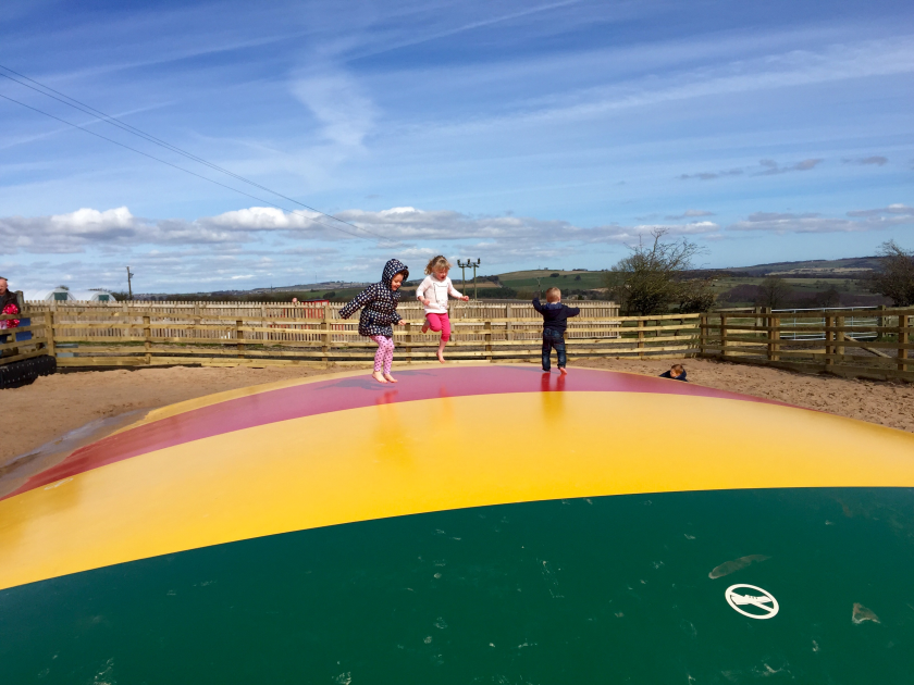 Buy Entrance Tickets Tickets online - Hall Hill Farm