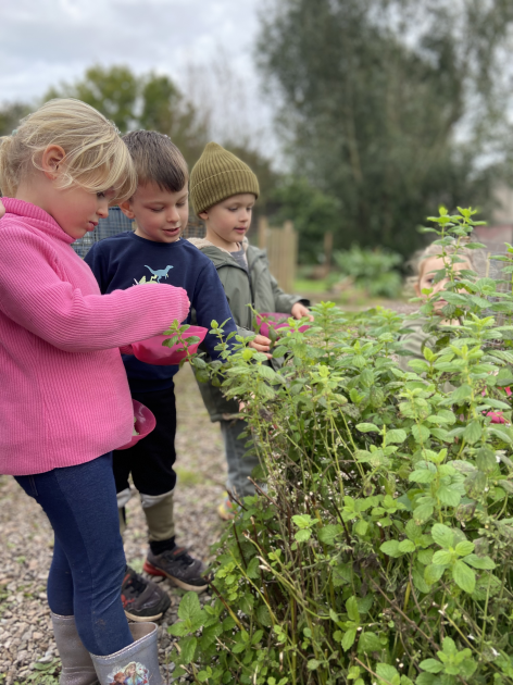 Buy Occombe Sow and Grow Sessions Tickets online - Torbay Coast and Countryside Trust