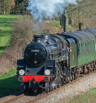 Buy Steam Train Travel with Fish & Chips (Sussex) Tickets online - Fox ...