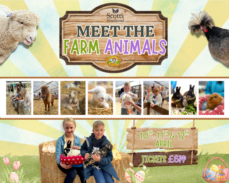Buy Meet The Farm Animals Tickets online - Scott's Of Southend