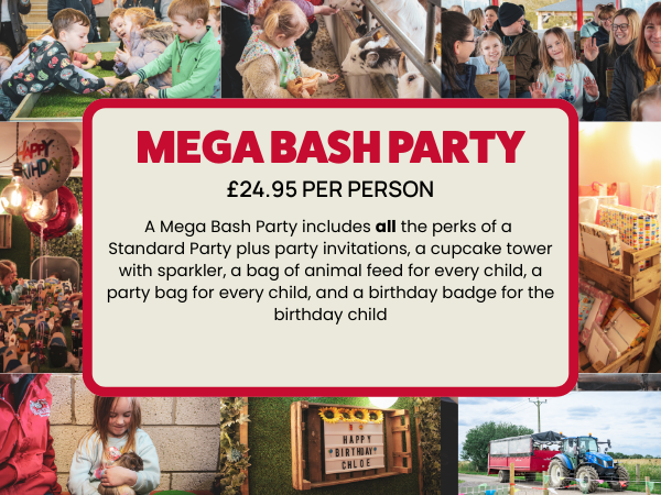 Buy 2025: Mega Bash Birthday Party Tickets online - Rand Farm Park