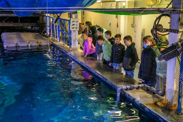 Buy Ocean Squad Junior Marine Biologist: 11-12 Year Olds Tickets online ...