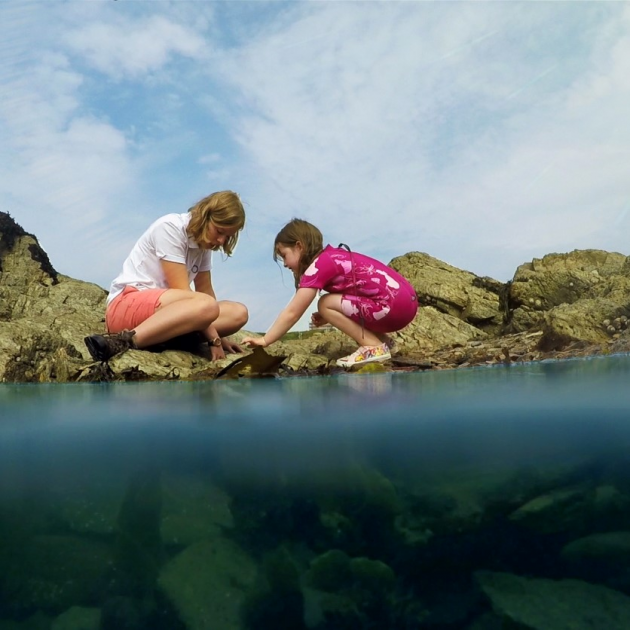 Buy Rockpool Safari with the Ocean Conservation Trust Tickets online ...