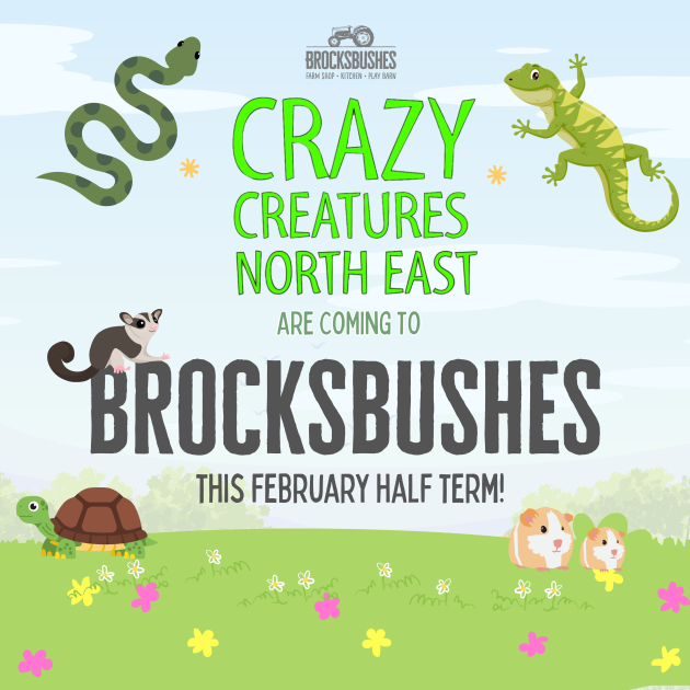 Buy Crazy Creatures Tickets online - Brocksbushes Farm Shop