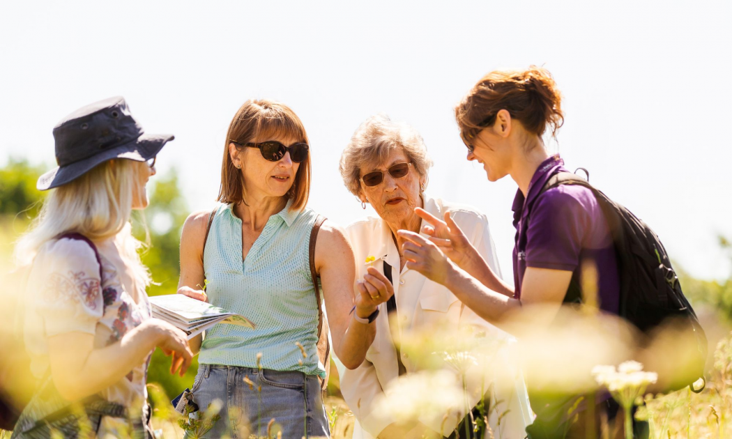 Buy Walk & Talk: Hocus Crocus: British Botanical Folklore Tickets ...