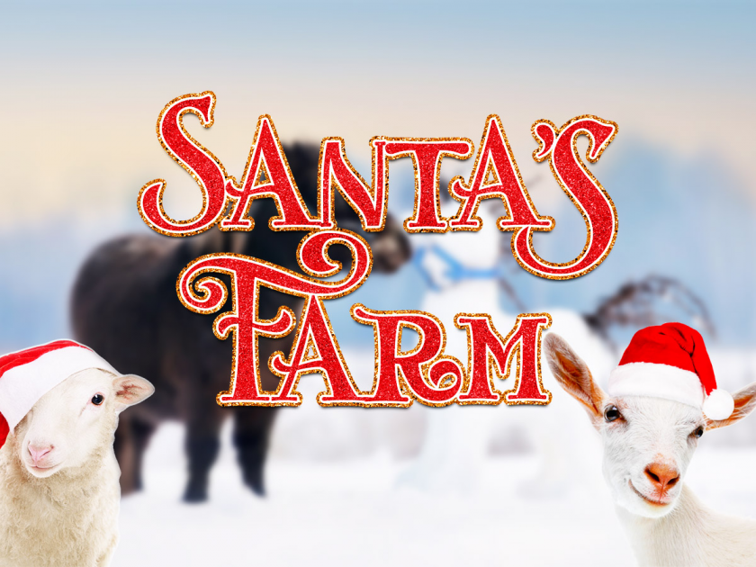 Buy Santa's Farm Tickets online - Quex Adventure Farm Park