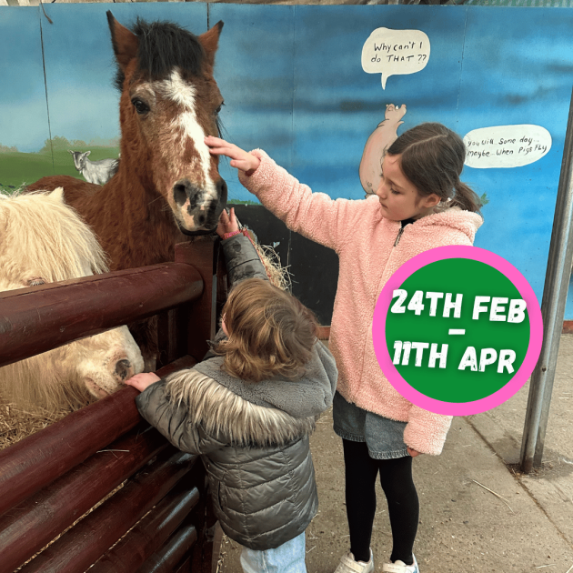 Buy 2025 - Snorty Weekdays & Critter Carnival Weekends Feb 24th - April ...