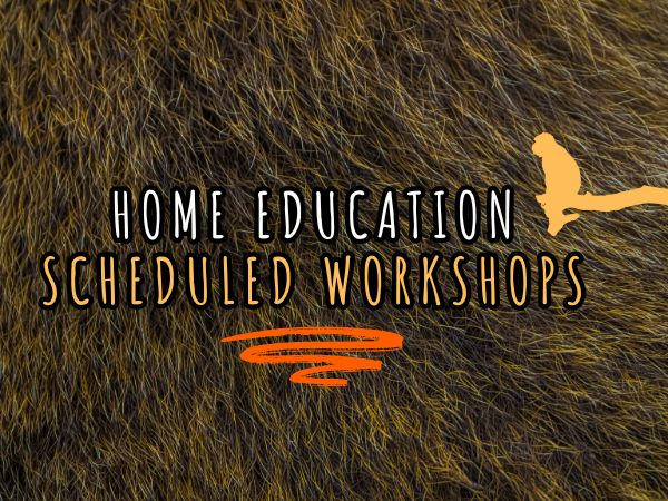 Buy Home Education Days Tickets online - Monkey Forest