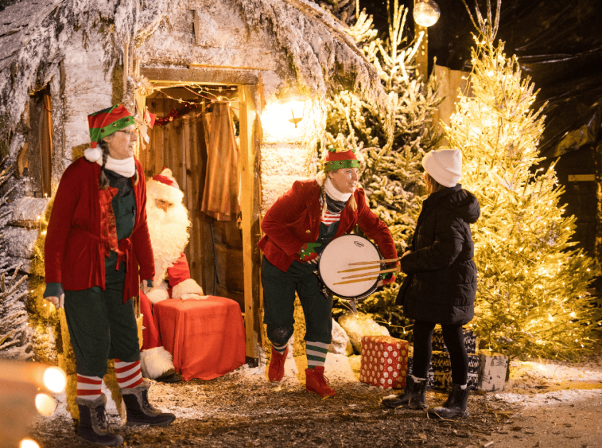 Buy SEN Grotto Sessions 2025 Tickets online - Rare Breeds Centre