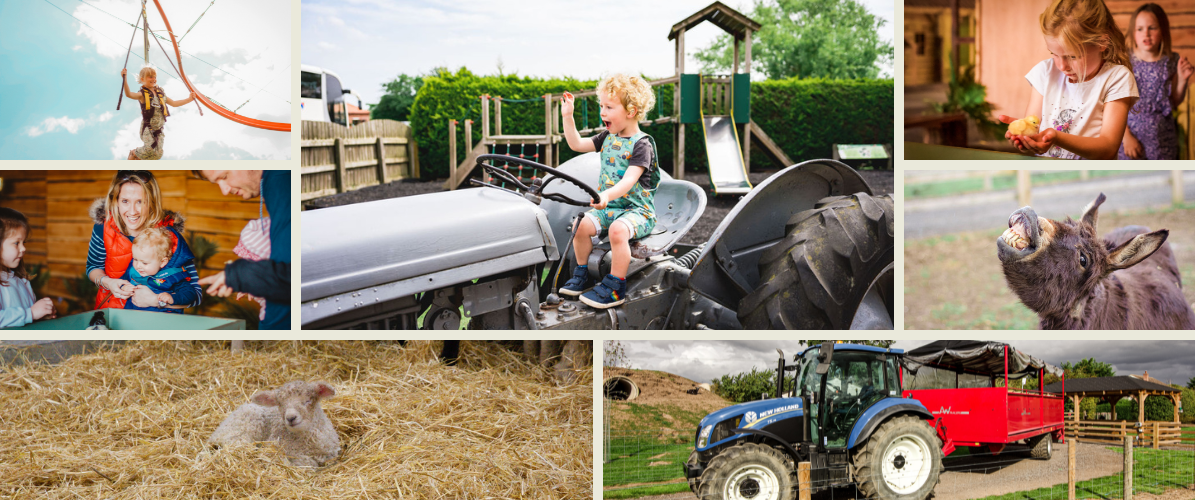 Buy Member's Event's Portal Tickets online - Rand Farm Park