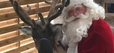 Buy Reindeer Centre Christmas Grotto Tickets online - The Reindeer Centre