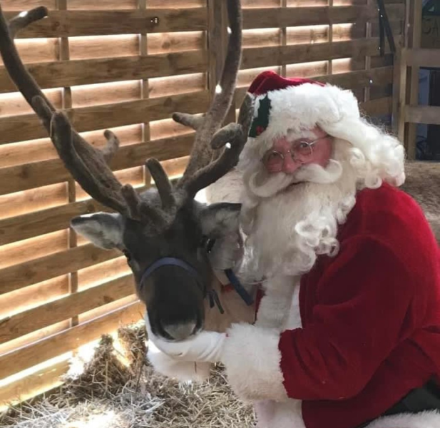 Buy Reindeer Centre Christmas Grotto Tickets online - The Reindeer Centre