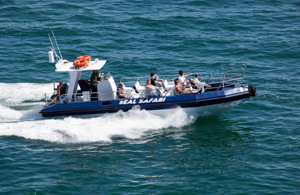 Buy Seal Safari Tickets online - Tenby Boat Trips