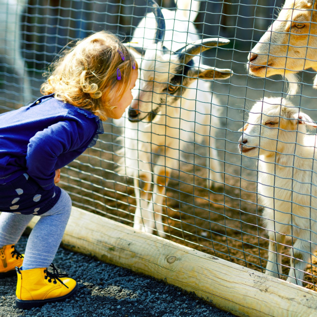 Buy Day Tickets Tickets online - Standalone Farm