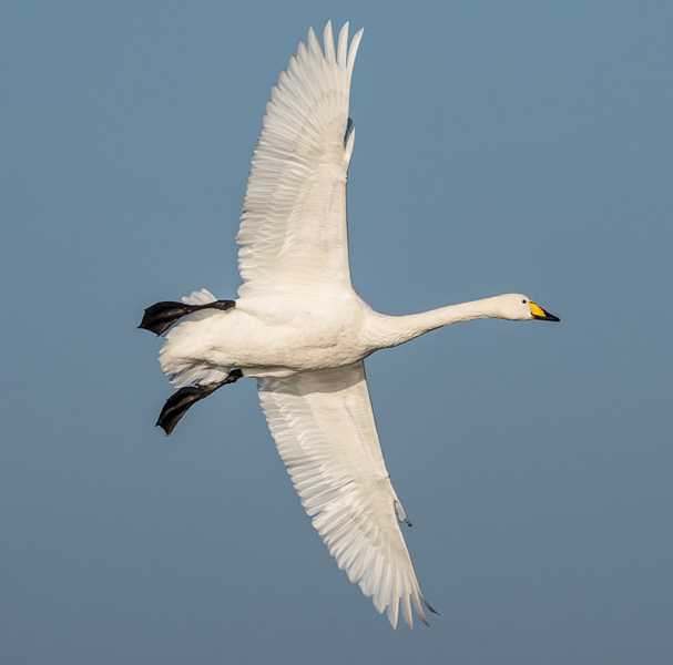 Buy WWT Tickets online - WWT