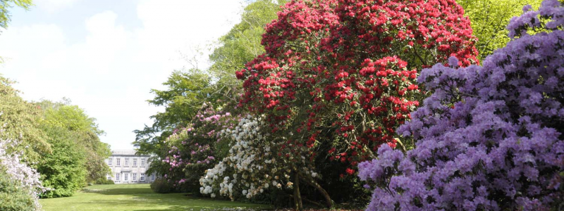 Buy Trewithen Gardens Tickets online - Trewithen House and Gardens