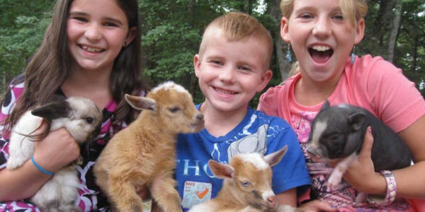 Buy Little Farmer Encounter Tickets online - Willow Tree Farm