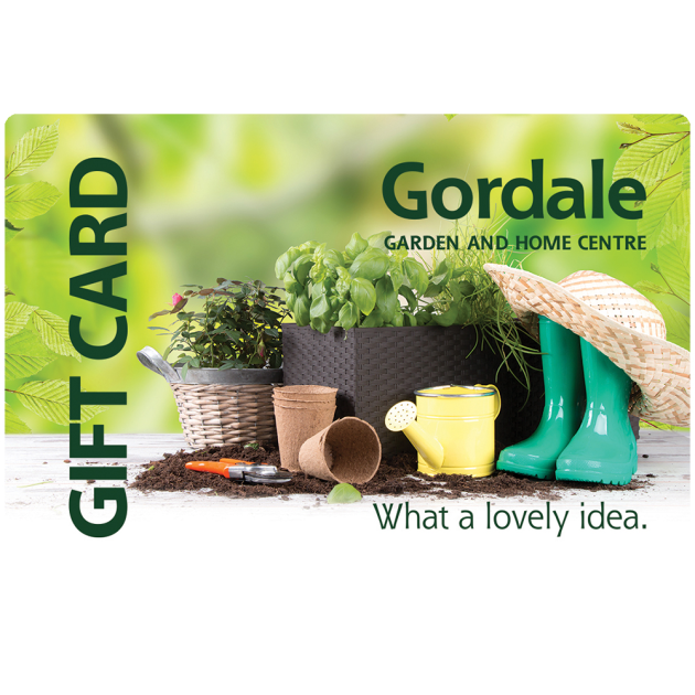 Gift Vouchers - Buy Online