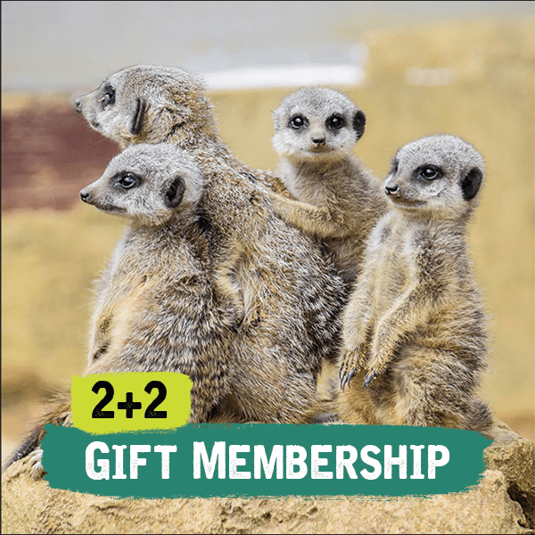 Gift Vouchers - Buy Online