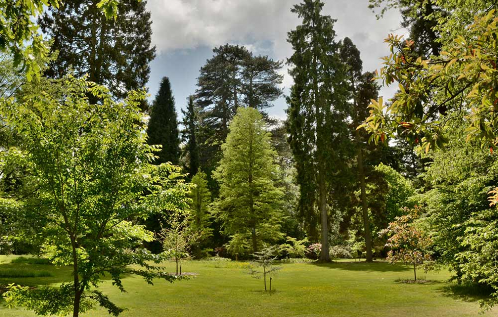 Child Arboretum Admission inc Seasonal Trail