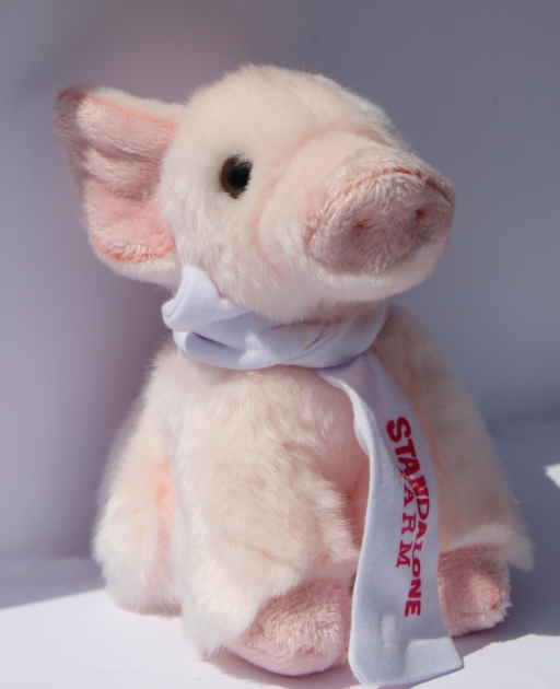 Standalone Mini Pig