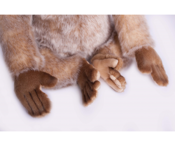 Cuddly Barbary macaque