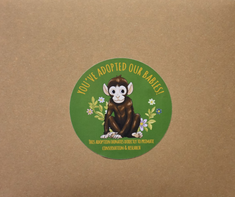 Babies Adoption Pack