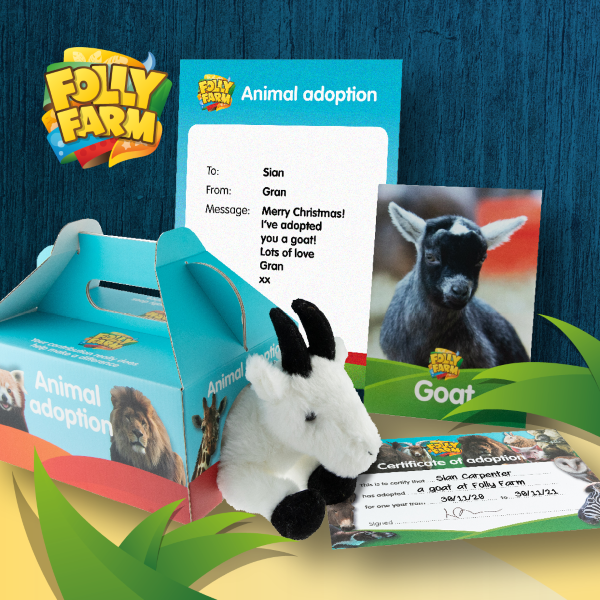 Goat adoption bronze