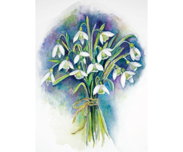 Buy Shop Tickets online - The Sussex Snowdrop Trust