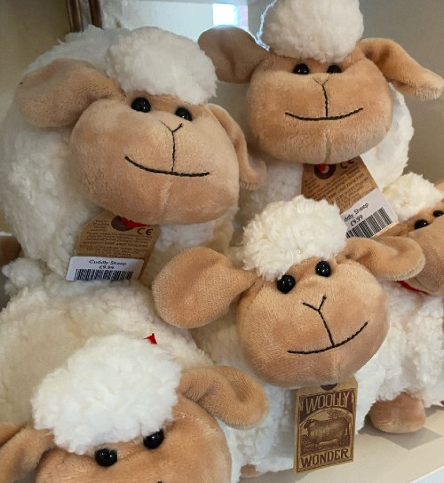 Woolly Wonder Cuddly Sheep