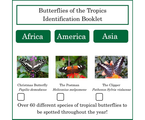 Tropical Butterfly Identification Booklet.