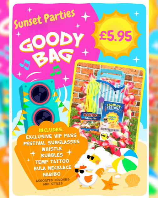 Goody Bag - No Photo Included