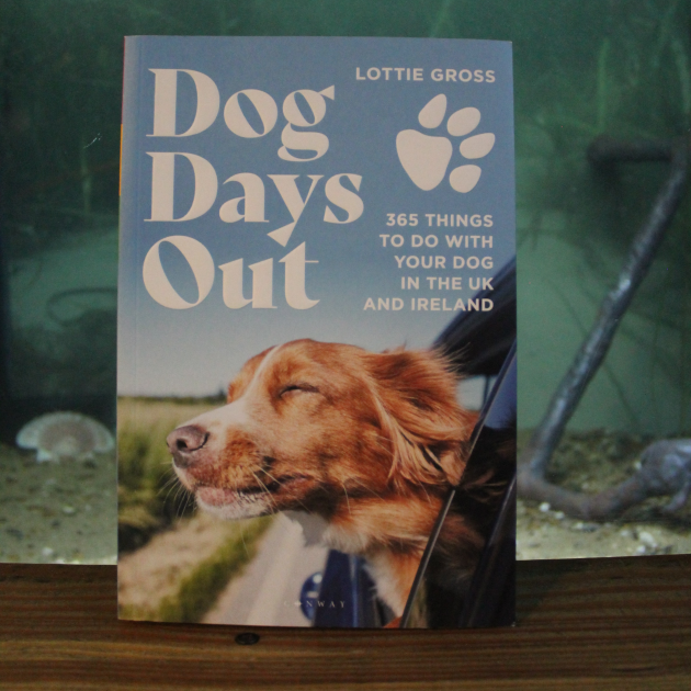Dog Days Out: 365 Things To Do With Your Dog In The UK and Ireland