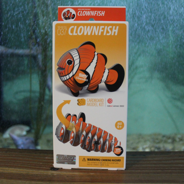 3D Clownfish Model Kit