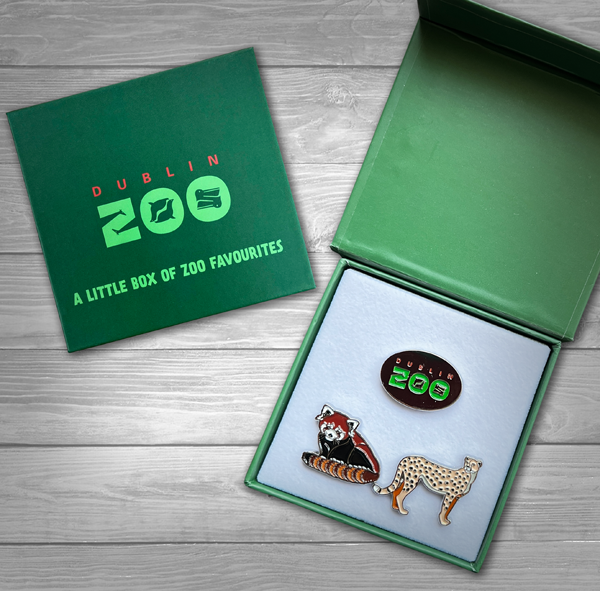 3 Pin Set in Presentation Box