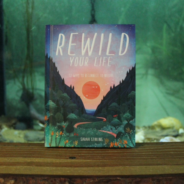 Rewild Your Life