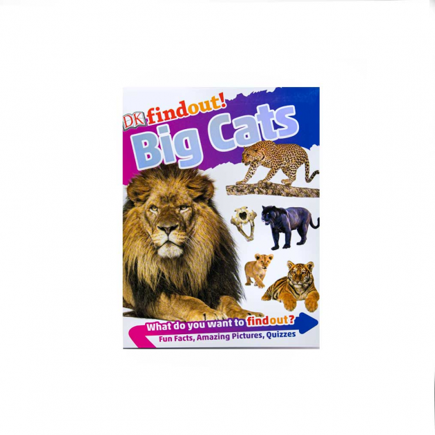 DK Find out Big Cats