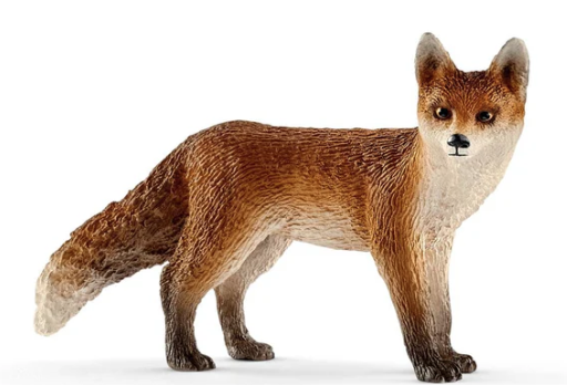 Fox