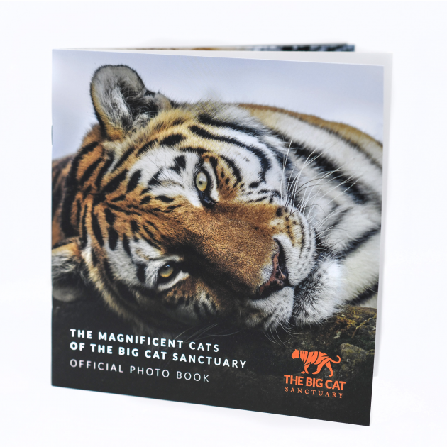 BCS Official Photo Book