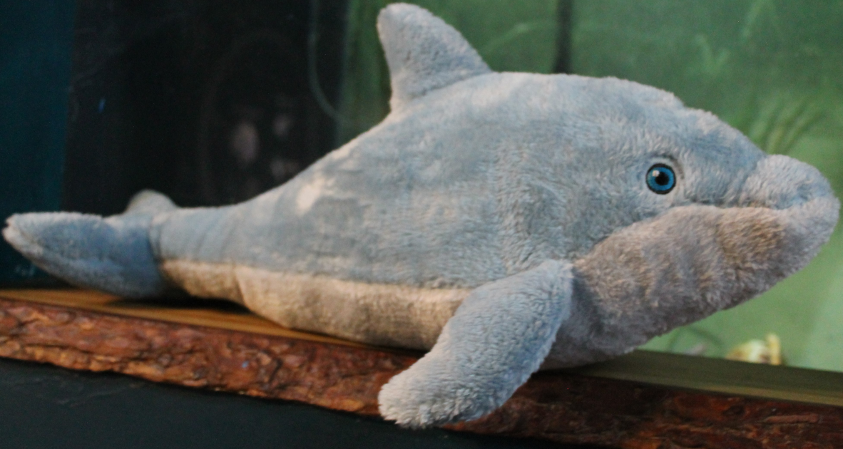 Eco Buddies Dolphin - Large