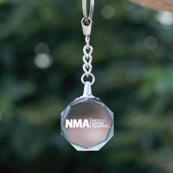 3D Crystal Keychain - NMA
