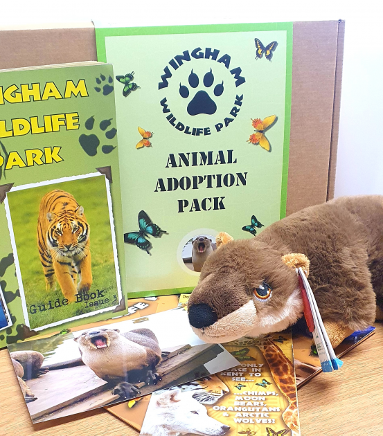 Otter Adoption Box (inc. delivery)