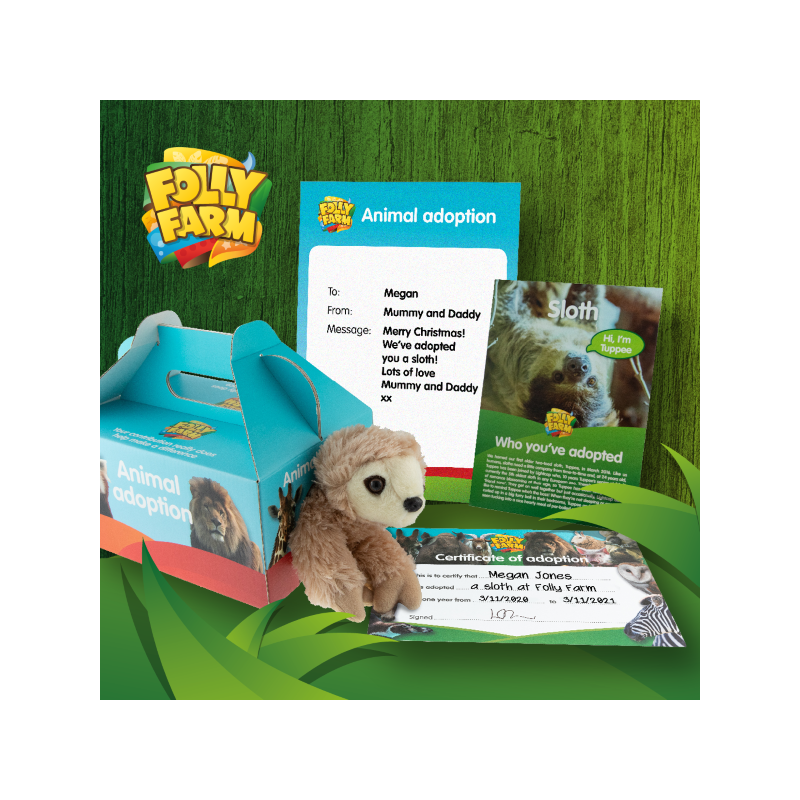 Sloth adoption bronze
