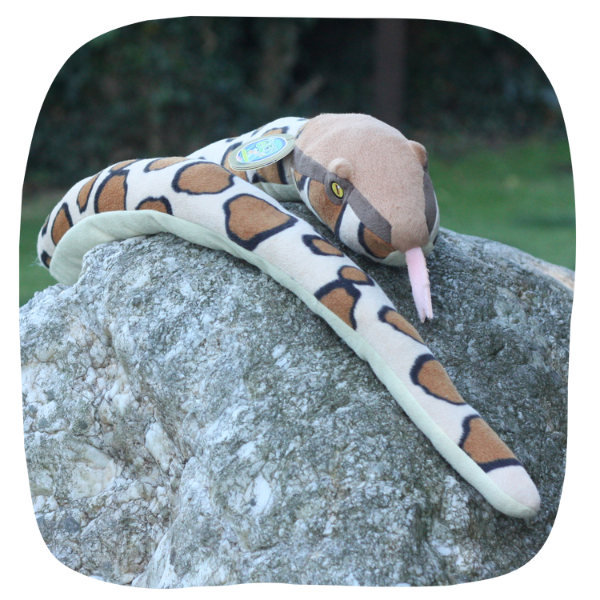 Large Cuddly Snake